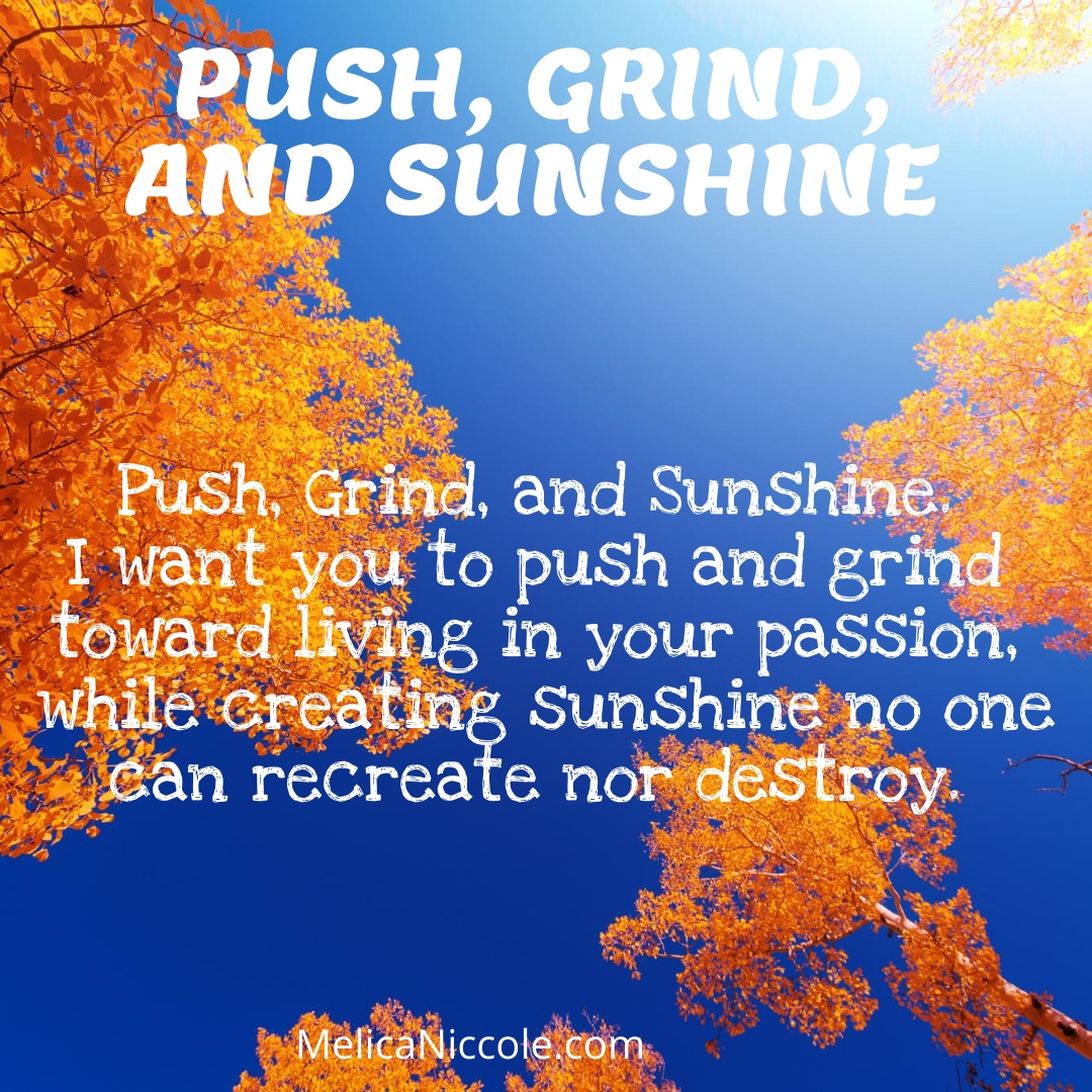 PUSH, GRIND, AND SUNSHINE – Melica Niccole